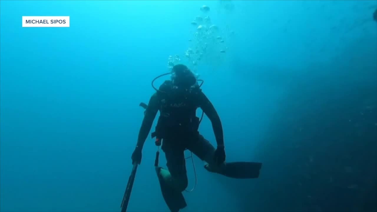 'The bends' can impact even experienced divers, experts say - YouTube