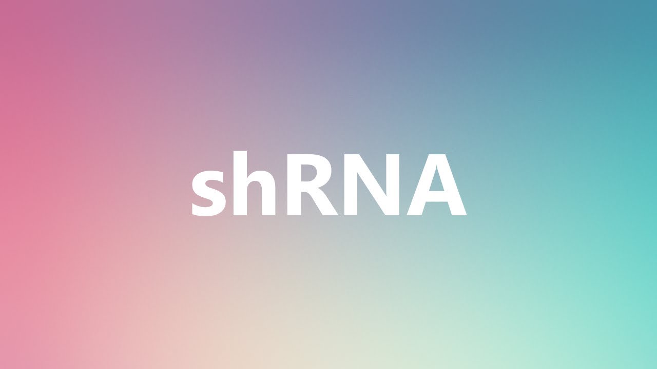 ShRNA - Medical Definition and Pronunciation - YouTube