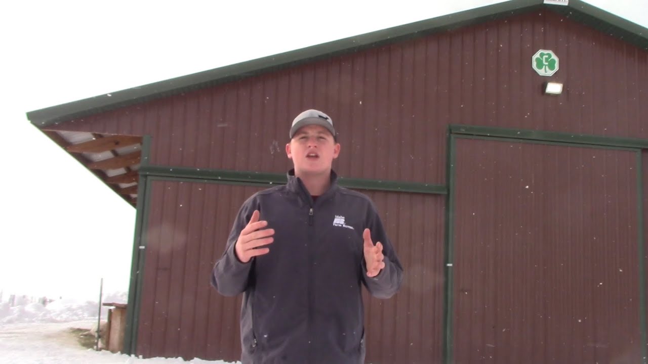 2023 Boer Goat Nation Scholarship application By: Porter Bingham - YouTube