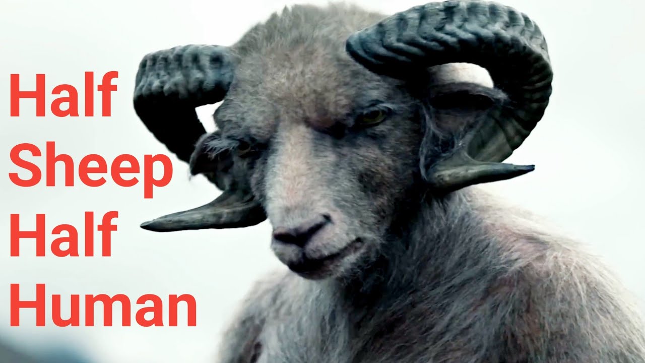 half sheep half human Movie Explained in Hindi/! Urdu | # ...