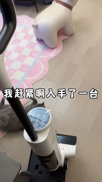 当养了一只逆子是什么体验～所以说嘛逆子还得 逆子”来搞定！ Youtube