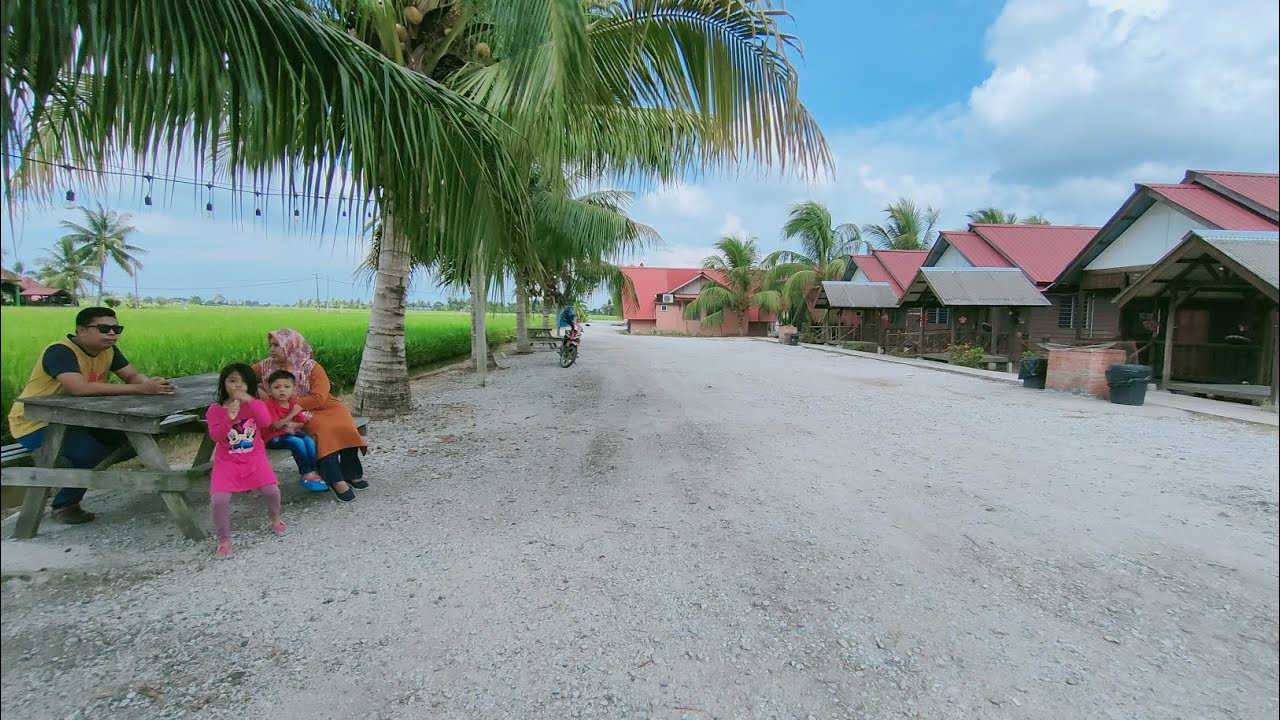 Trip To D'sawah Bendang Homestay - YouTube