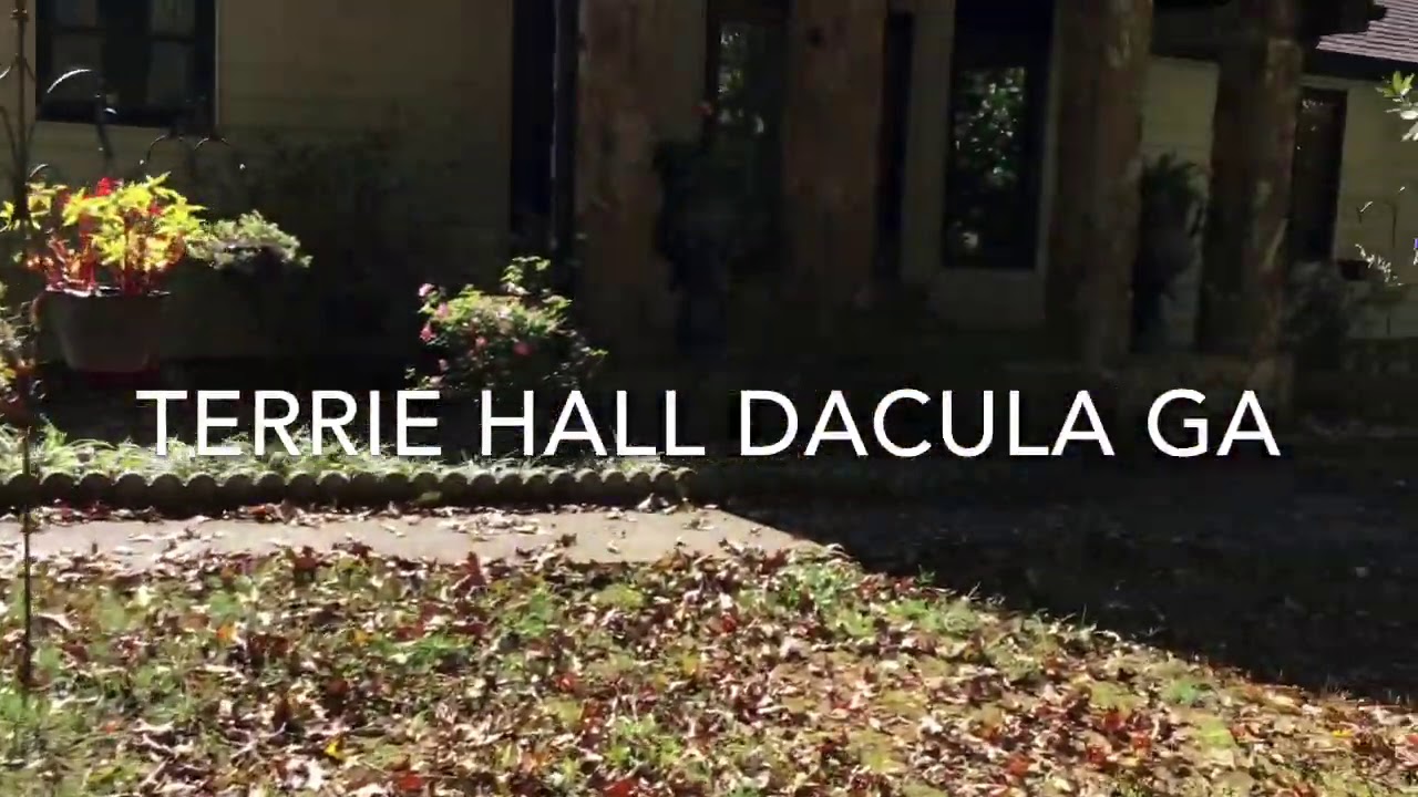 Terrie Hall - YouTube