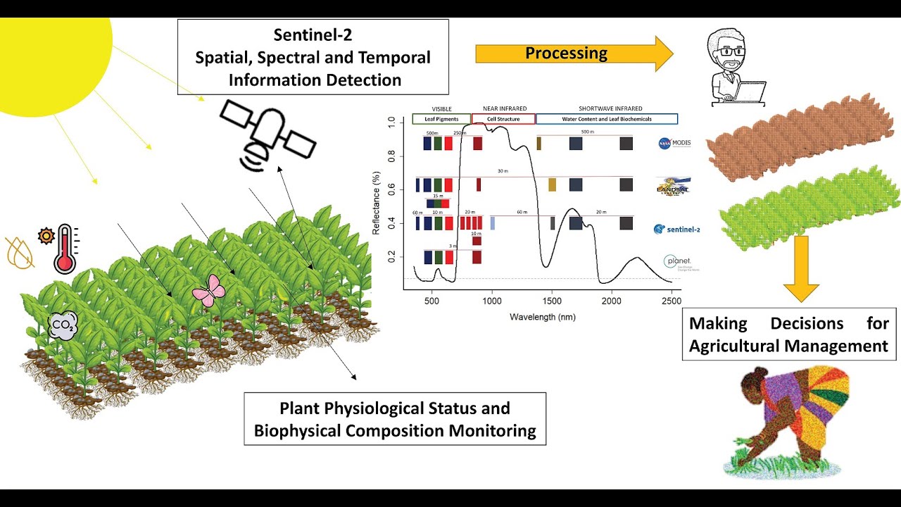 Tools & Advancement in Precision Nutrient Management - YouTube