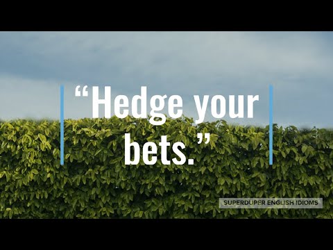 "Hedge Your Bets" Idiom Meaning, Origin & History | Superduper English ...