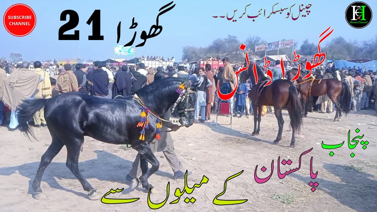 Ghora Dance/Horse Dance/Ghora Dhamal in Jhangar Lal Punjab Pakistan ...
