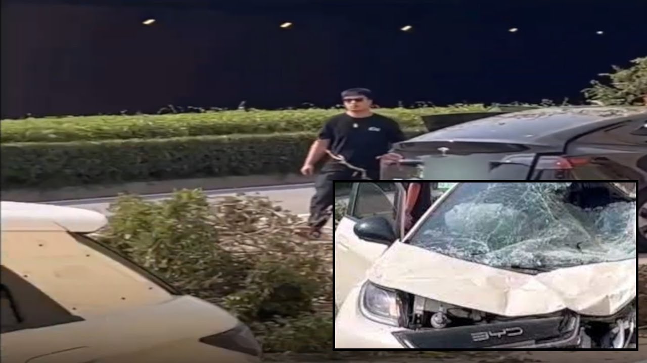 BYD Dolphin e Tesla envolvidos em acidente grave - YouTube