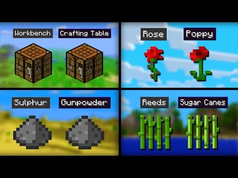 MİNECRAFT'TA İSMİ DEĞİŞEN 10 EŞYA