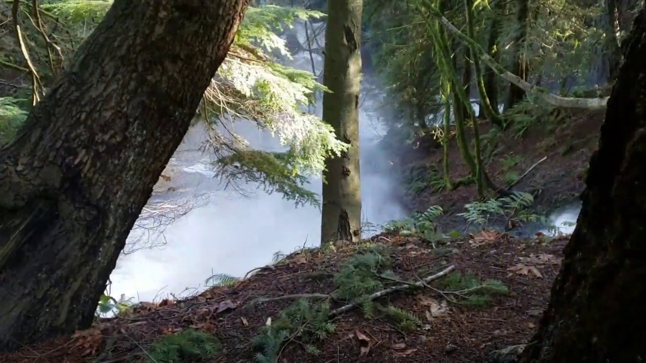 Nanaimo Heavy Rain Colliery Dam Park Vancouver Island British Columbia ...