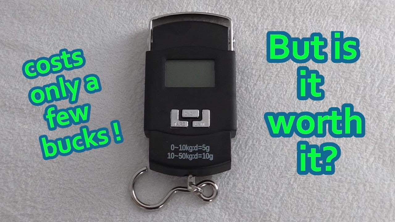 50kg Portable Electronic Hook Scale - Test / Review - YouTube