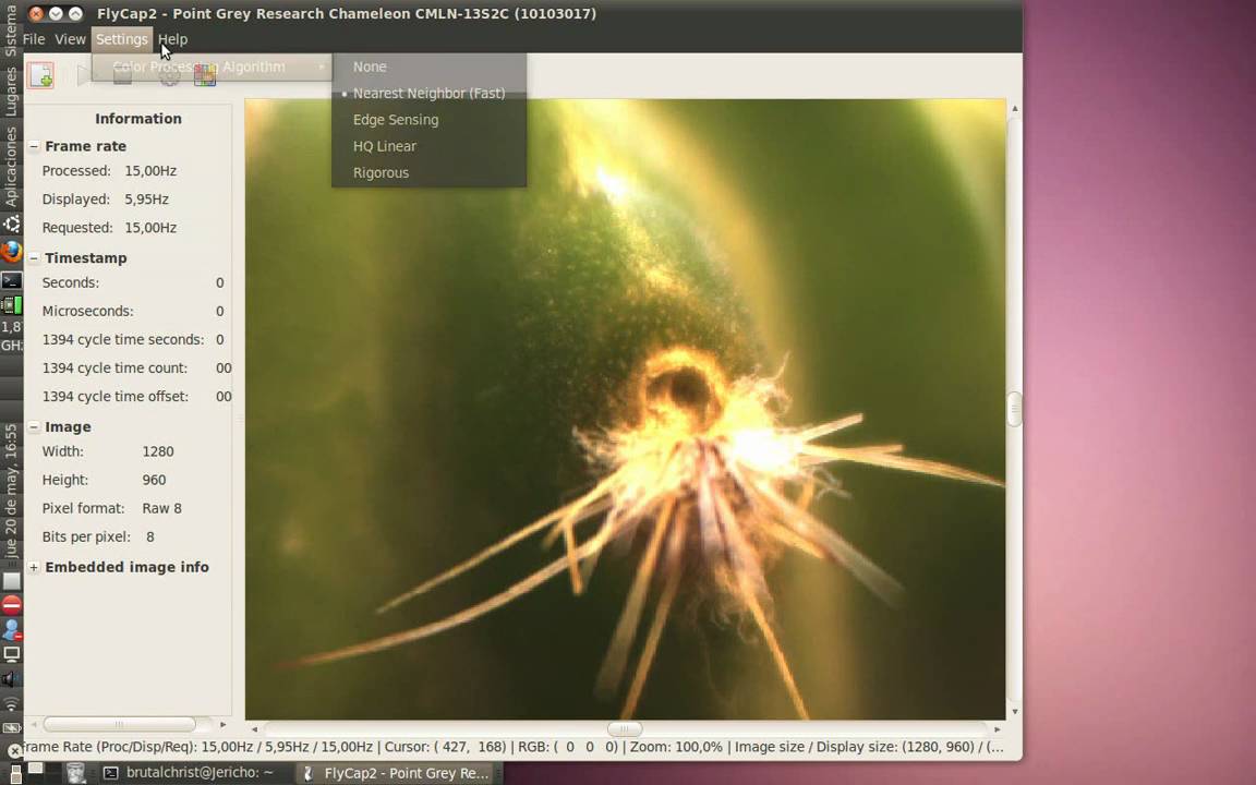 Chameleon digital video camera USB on Linux - YouTube