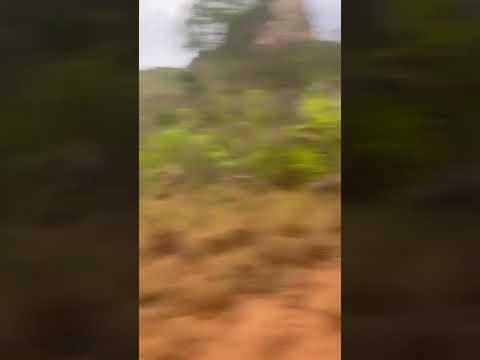 OFF ROAD SNAP / L200 SNAP