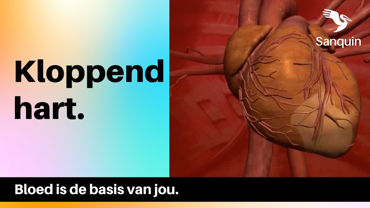 Kloppend hart - YouTube