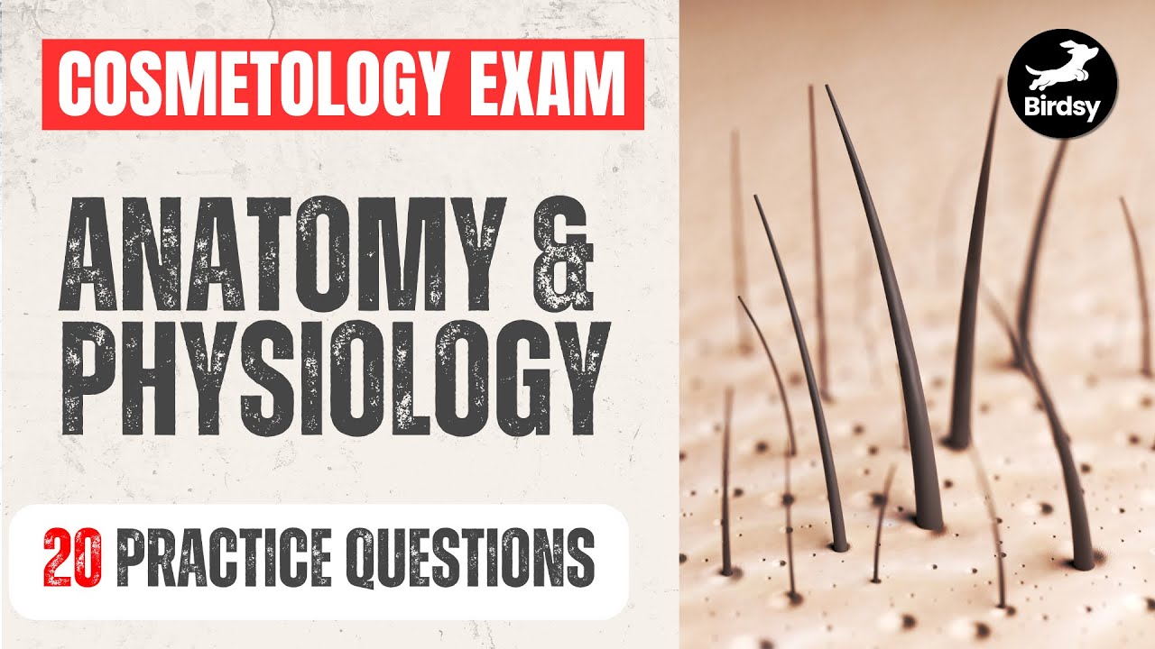 🔑 Anatomy & Physiology Essentials for the Cosmetology Exam - YouTube