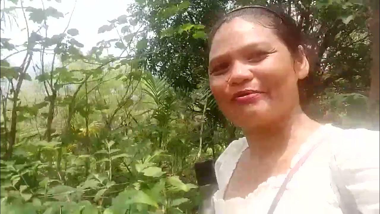 Vlog Vedio W,P, Chisim - YouTube