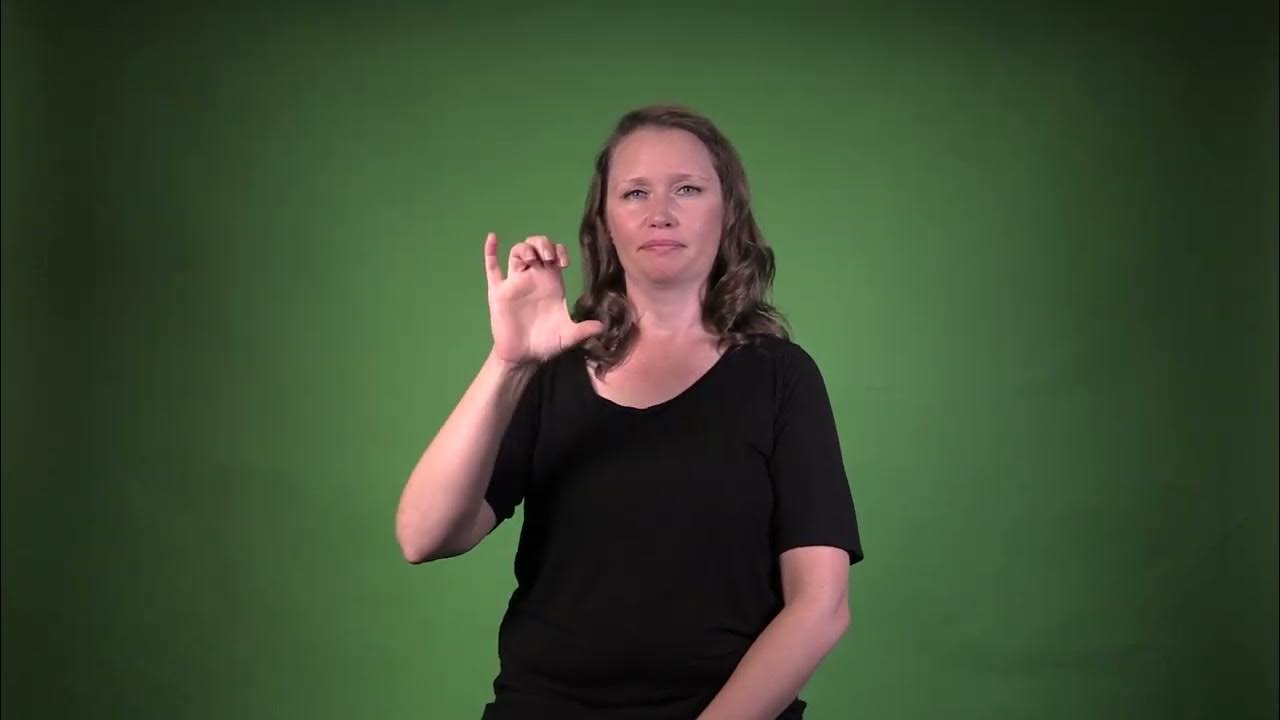 Michigan ASL - YouTube