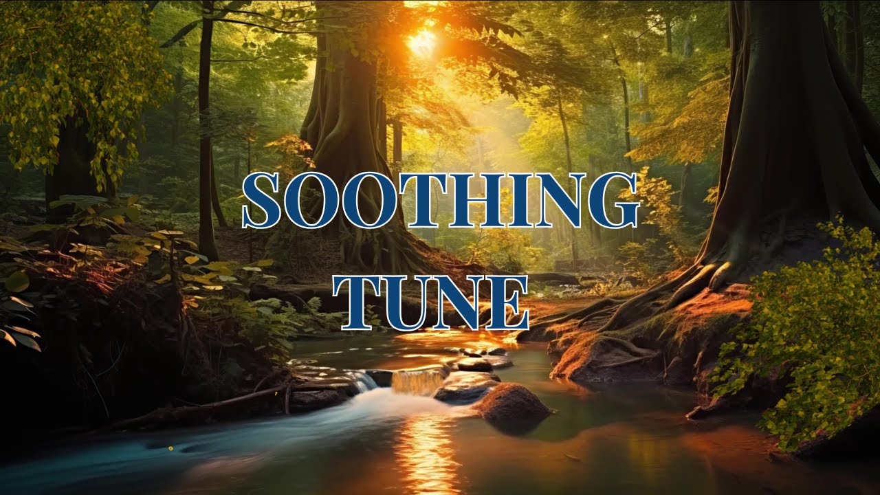 Soothing Piano Music & Birdsong REALLY Help You Relax and Unwind - YouTube