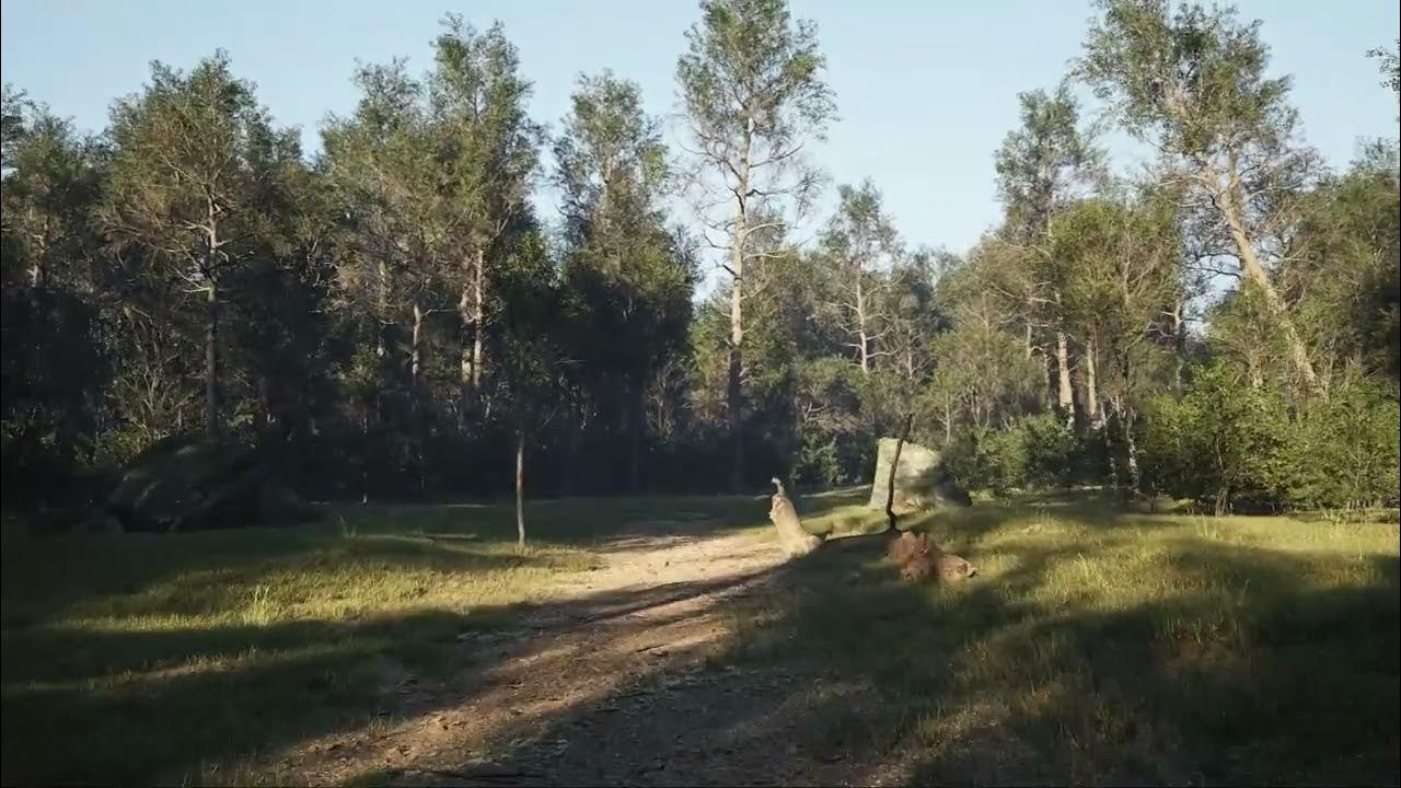 Unreal Engine 5 Path Tracing - YouTube