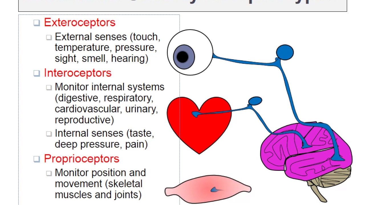 ch12 lecture - YouTube