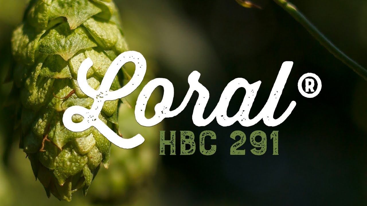 Loral® HBC 291 - YouTube