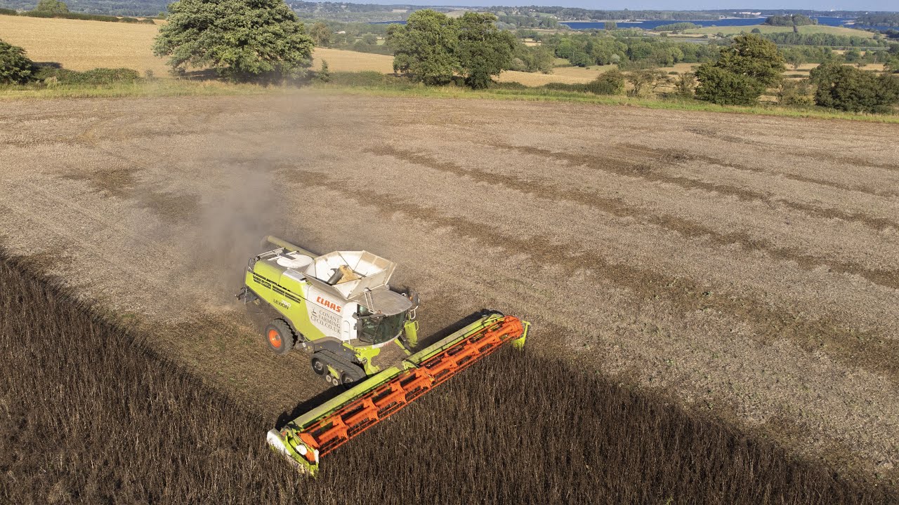 Claas Lexion 780 - Completes the last run of harvest 2021! - YouTube