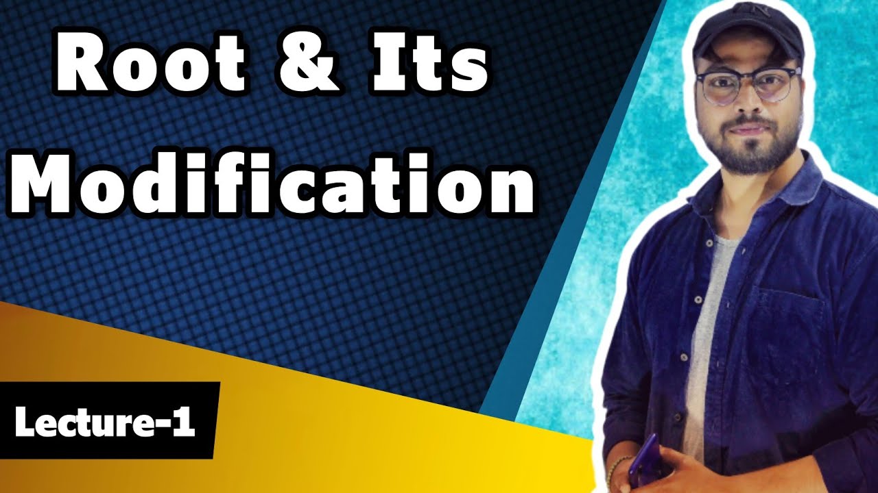 Root and its modification - YouTube