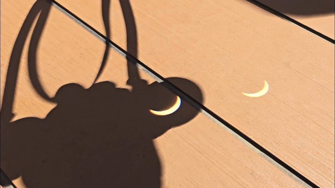 projecting little sun crescents during eclipse on ground through ...