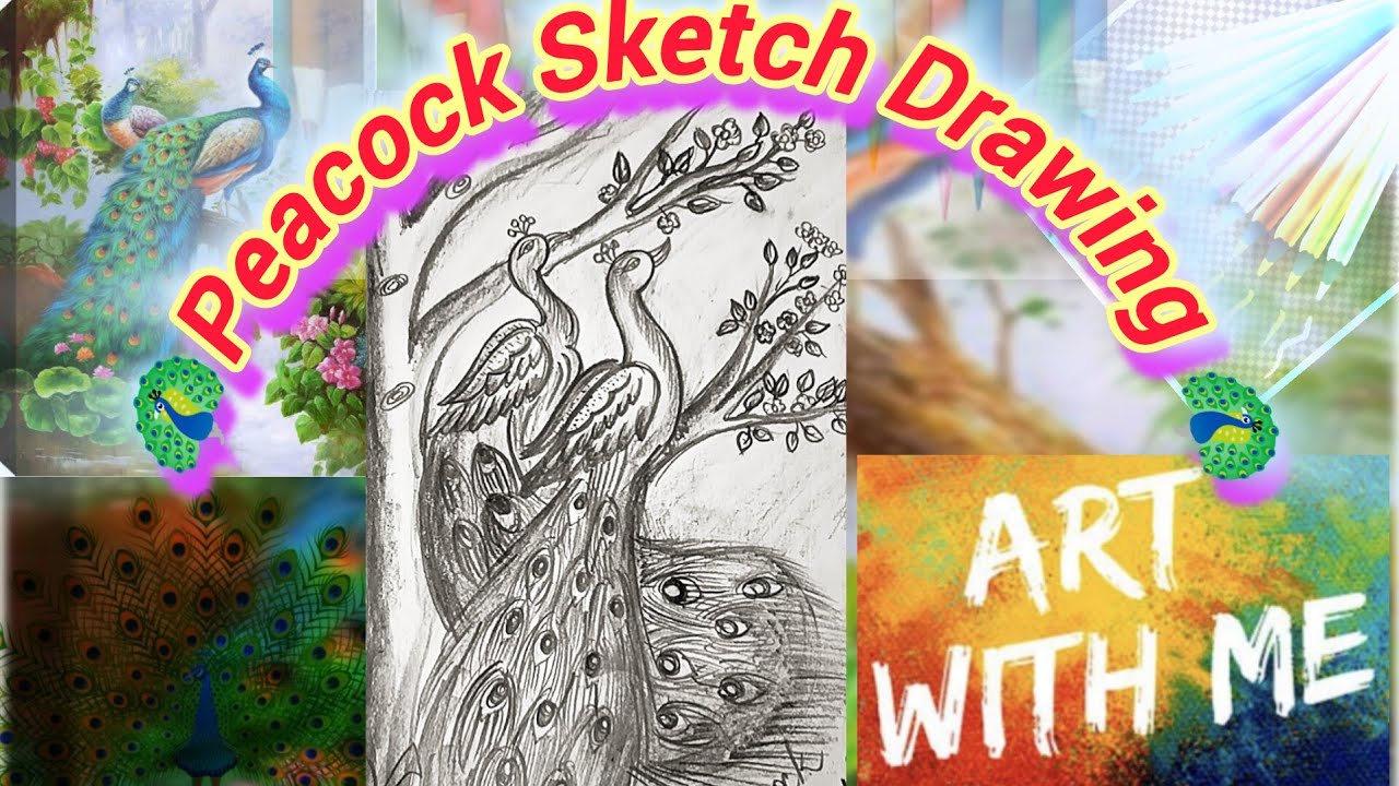 How to Draw Peacock Drawing Step by step || Peacock Drawing Kaise ...
