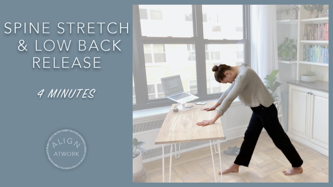 Low Back Release & Spine Stretch | 4 Minutes - YouTube