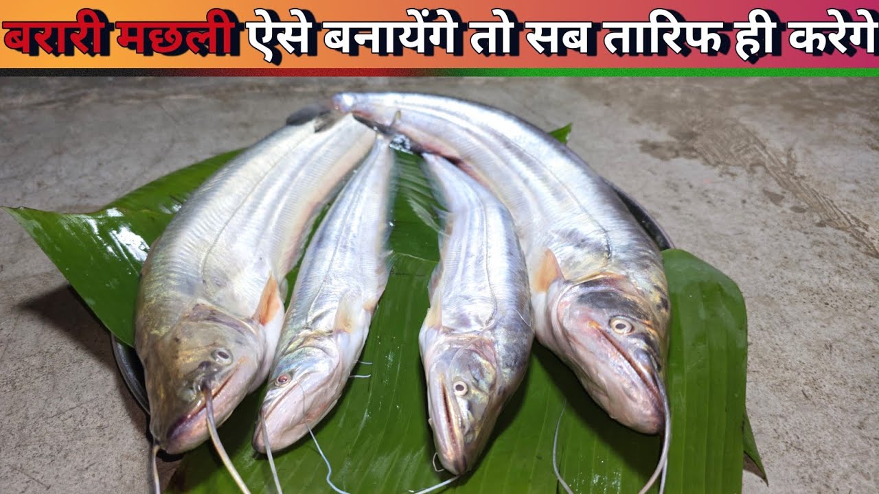 Barari Fish | शर्त लगालो,बरारी मछली ऐसे बनायेंगे तो सब तारिफ ही करेगे ...