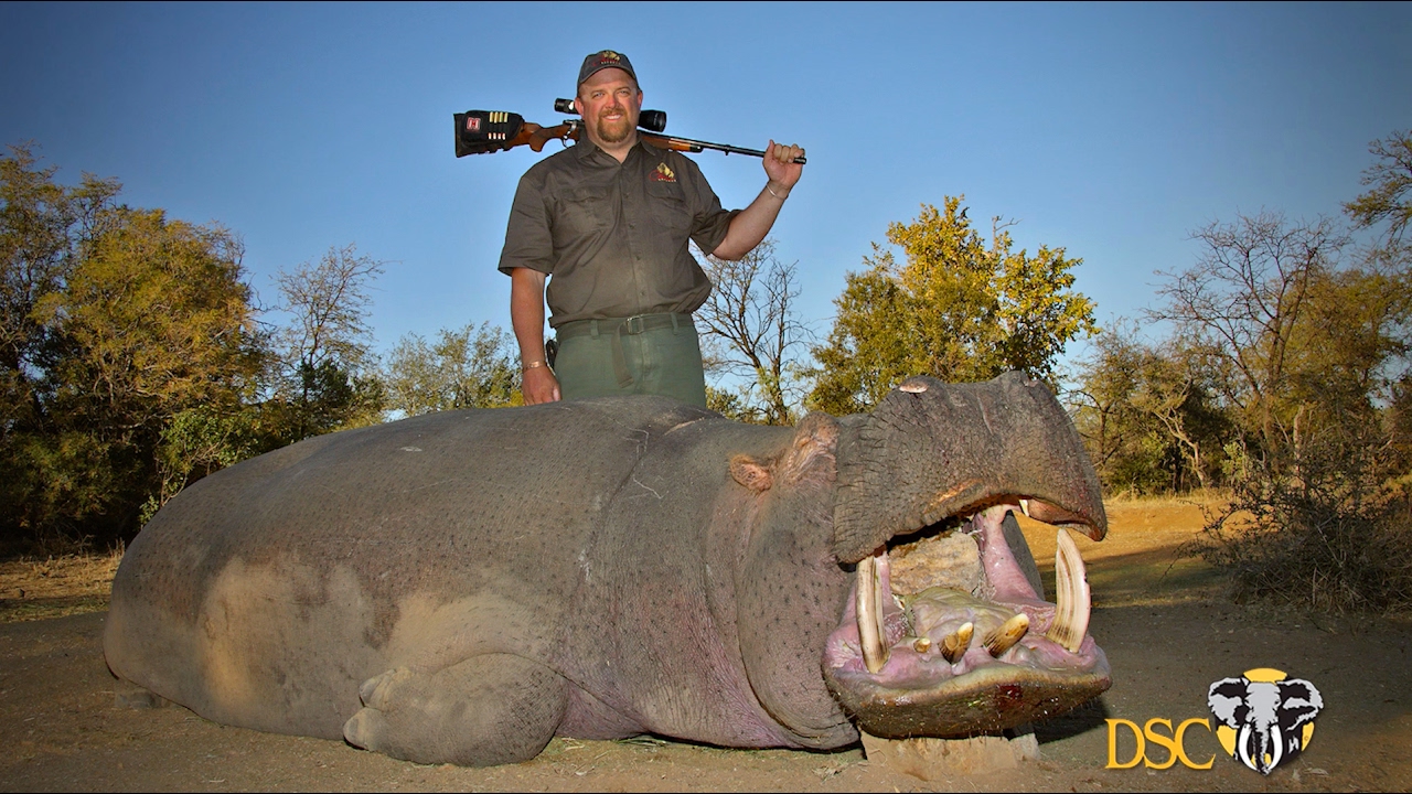 Vision Quest - Walk and Stalk Hippo Hunt - YouTube