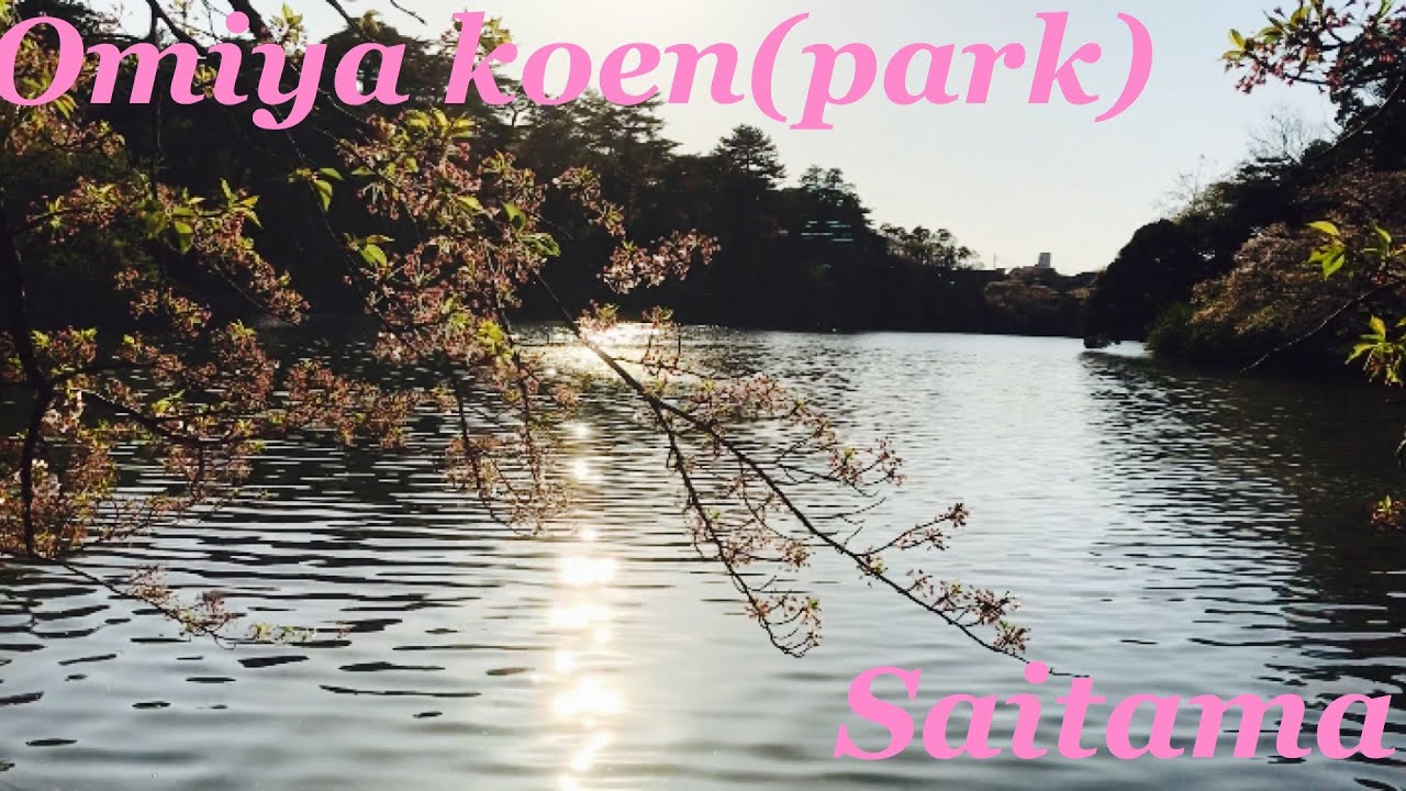Omiya Koen. (大宮公園)in Saitama!!!!! - YouTube