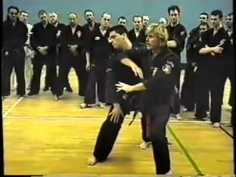 Larry Tatum - American Kenpo Karate Workshop part1 - YouTube