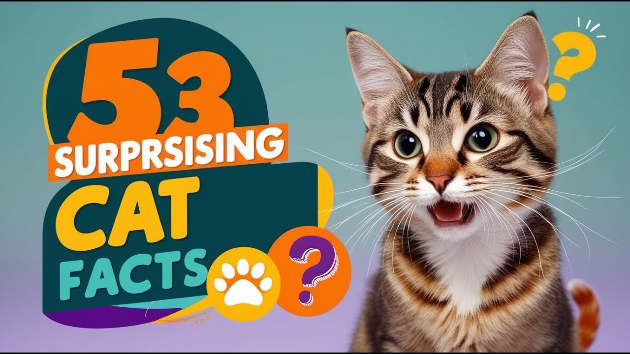 53 Surprising Cat Facts You Didn't Know | Fascinating Feline Trivia ...