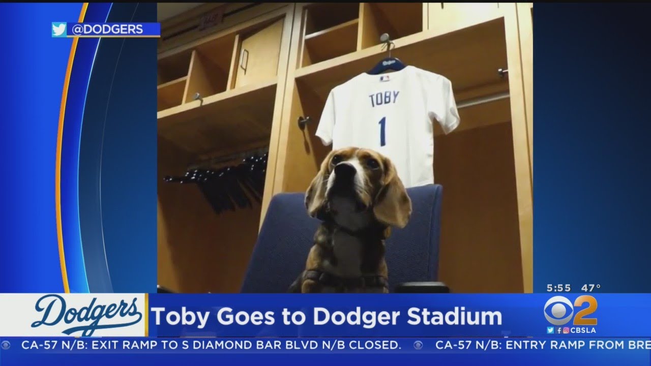 Tik Tok-Famous Toby Spends A Day At Dodger Stadium - YouTube