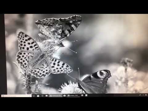 Computer Screen turned Black and White - YouTube