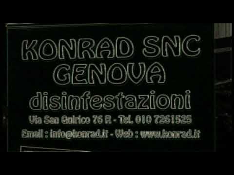 KONRAD - Disinfestazioni Genova