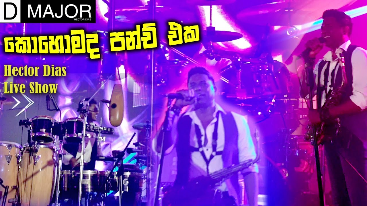 D Major | Hector Dias | Live Performance - YouTube