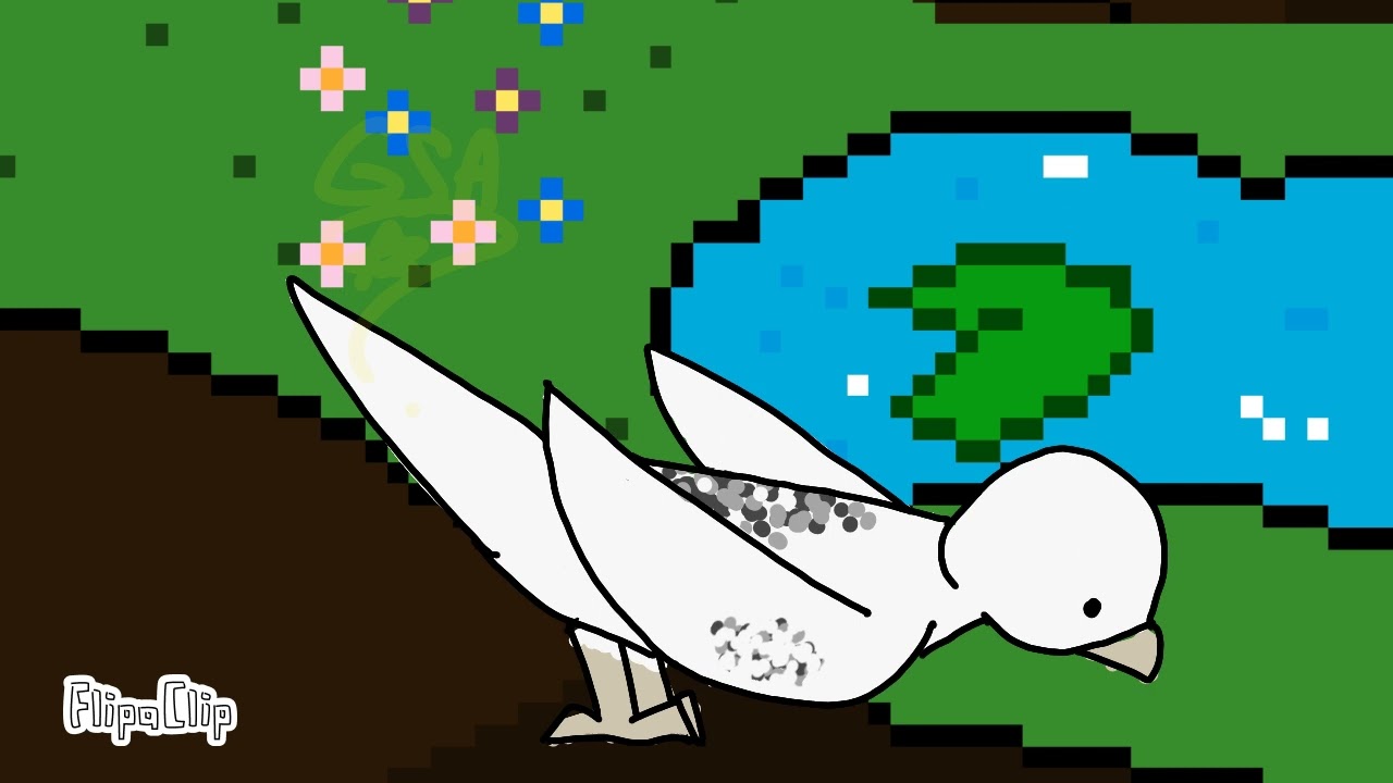 Bird :D [ Gift for Am Raye! ] - YouTube