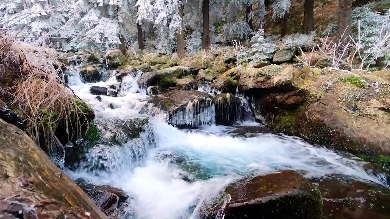 Relaxing Piano Music With Stream💗 Beautiful Piano Music by Soothing ...