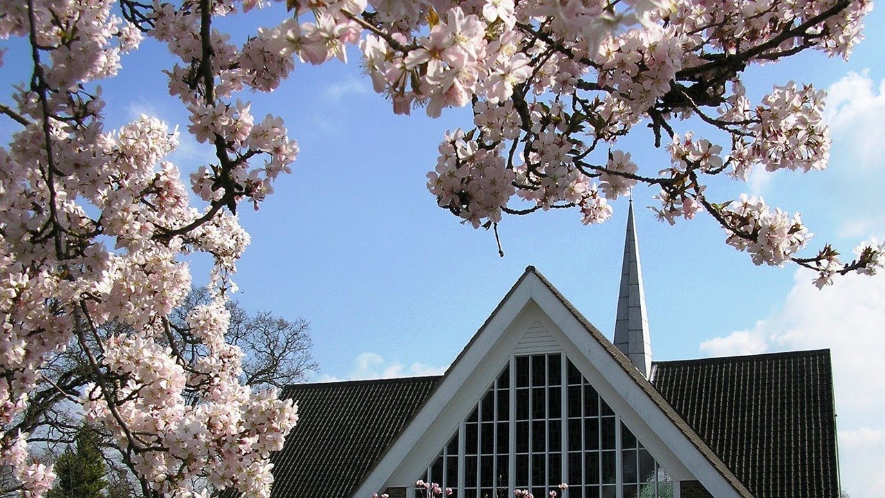 Gail Graves Memorial Service - YouTube