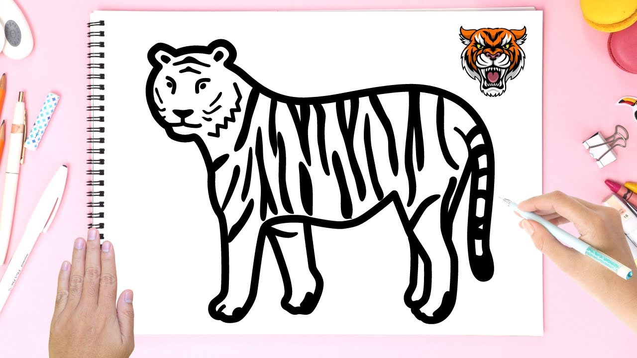 How to Draw a Tiger - Easy Step By Step Tutorial - Tiger | Monika's Art ...