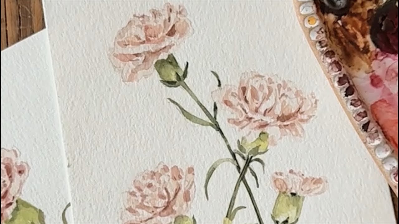 Live Carnation Watercolor Tutorial! - YouTube
