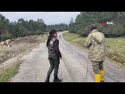 Ormanlara Kadın Eli Değdi