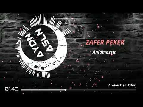 Zafer Peker Anlamazsın