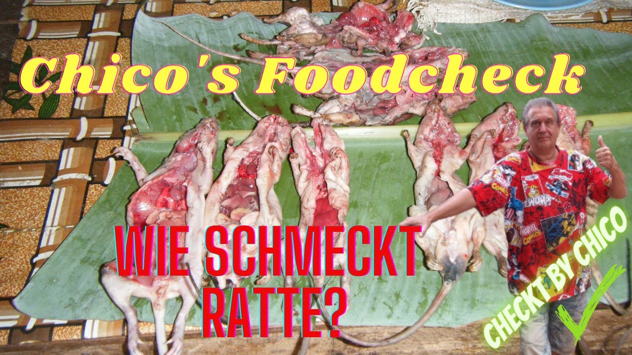 Ratte essen in Thailand, Chicos Food Check - YouTube