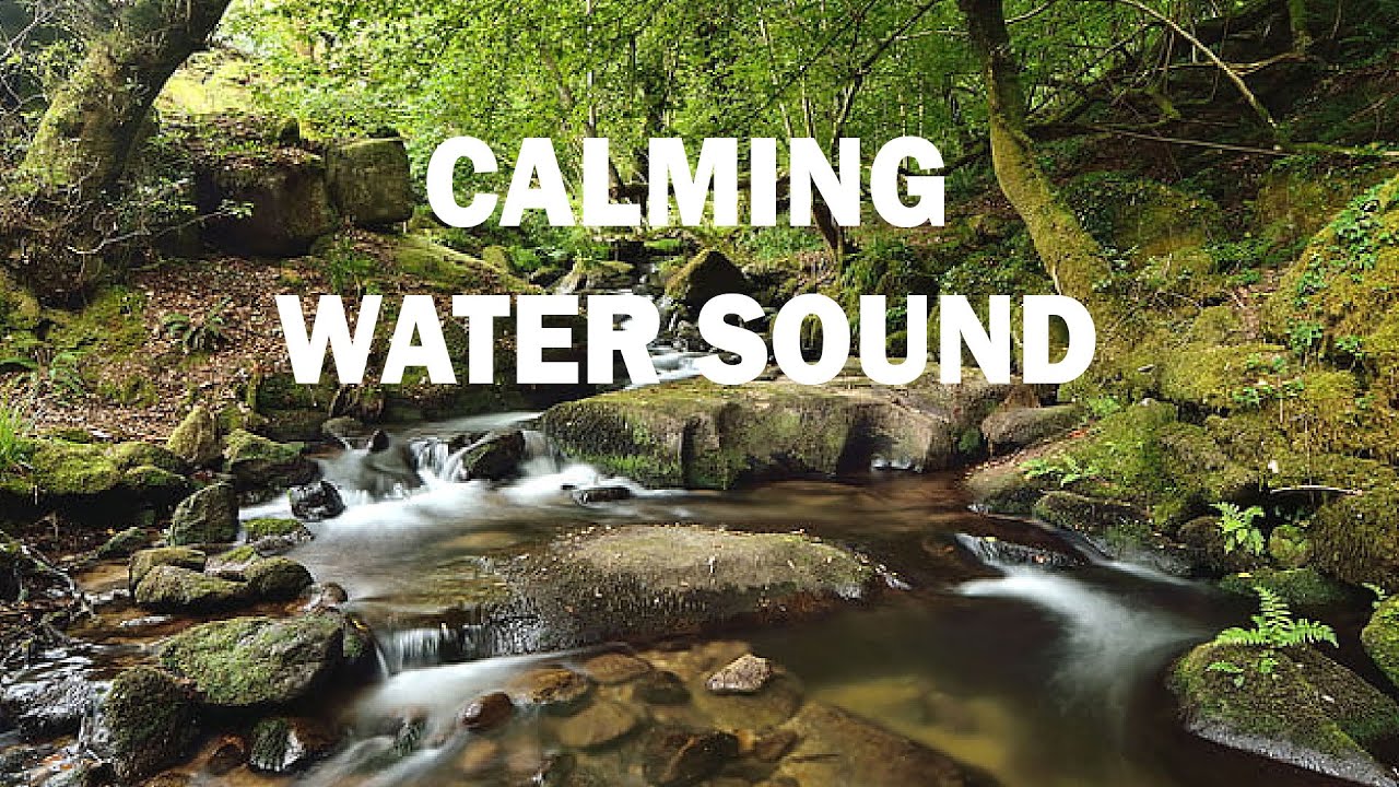 Nature Sounds Forest Waterfall - Calming Water Sound for Sleeping Bird ...