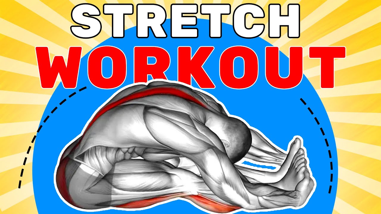 Daily Stretching🌟Easy Exercises for Everyone | Stretching Exercises for ...
