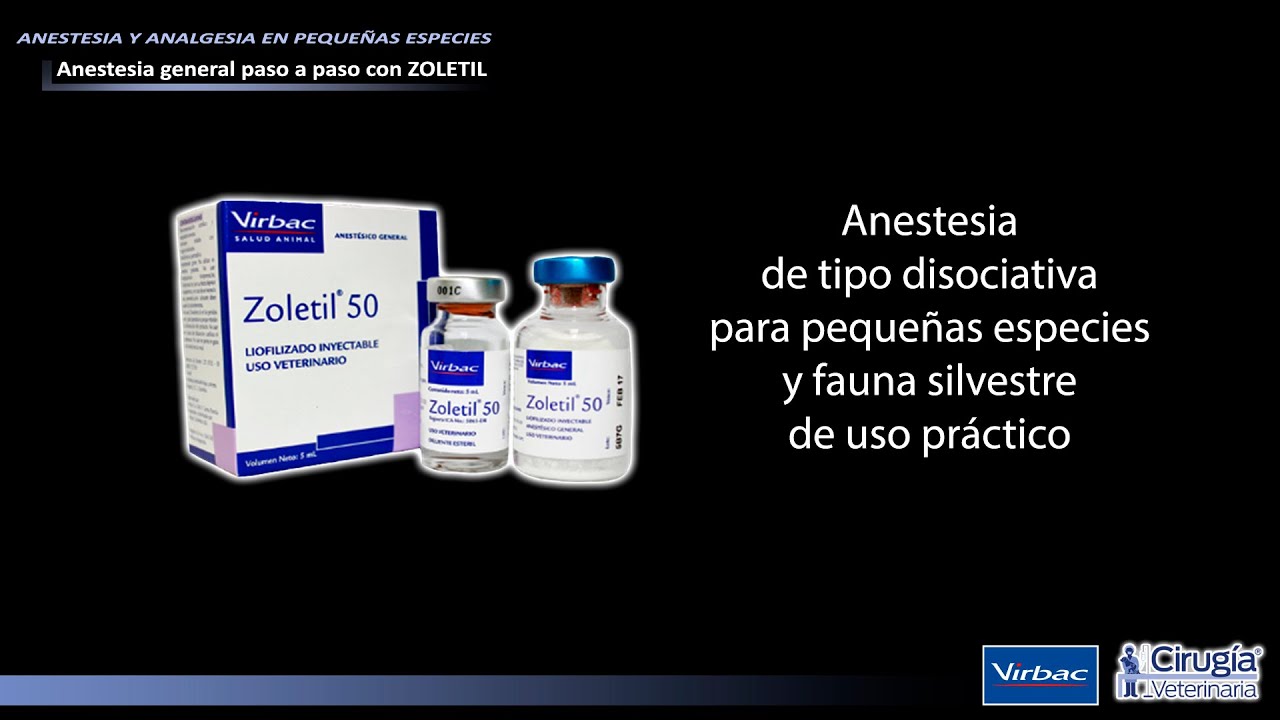 CUIDADOS PREOPERATORIOS Y RECOMENDACIONES DEL USO DE ZOLETIL-VIRBAC ...