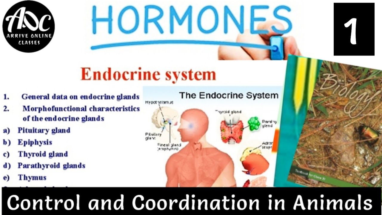 Animal Hormone || Endocrine Glands || Pituitary gland || Animal control ...